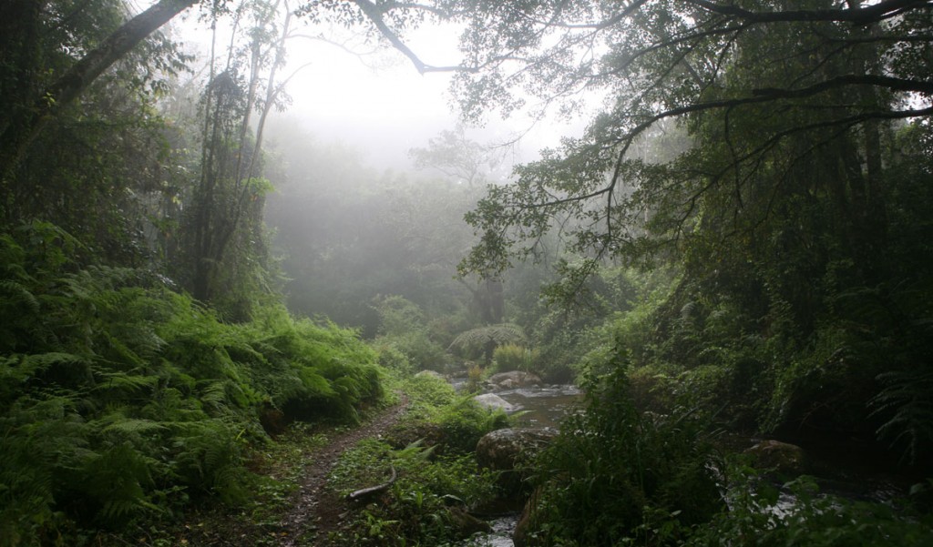 Who needs a road? – Trans World Expedition