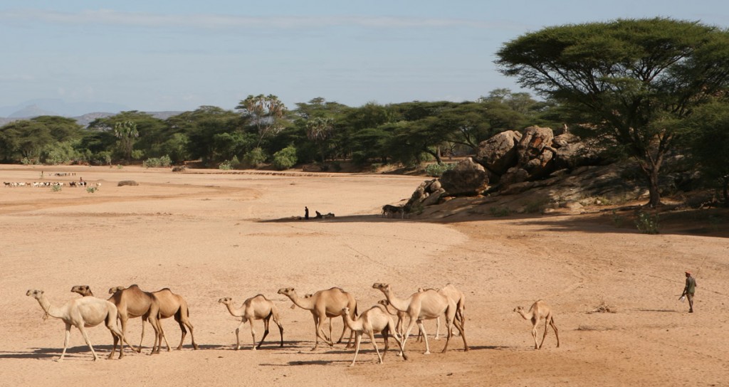 Kenya – Trans World Expedition